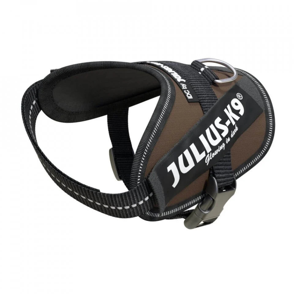Julius K-9 IDC Power harness Chocolate brown - all size – AKIRA-PRO ...